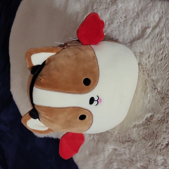 Squishmallows | Toys | 8 Reginald Demon Corgi Halloweeen Squishmallow ...